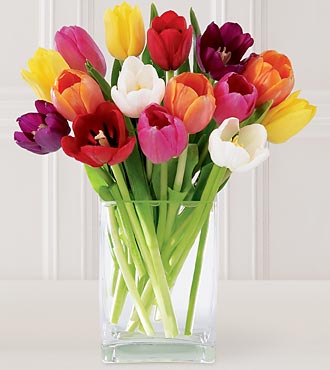 Cynthia Roundtree-Wilson - Obituaries - Draeger-Langendorf Funeral Home ...